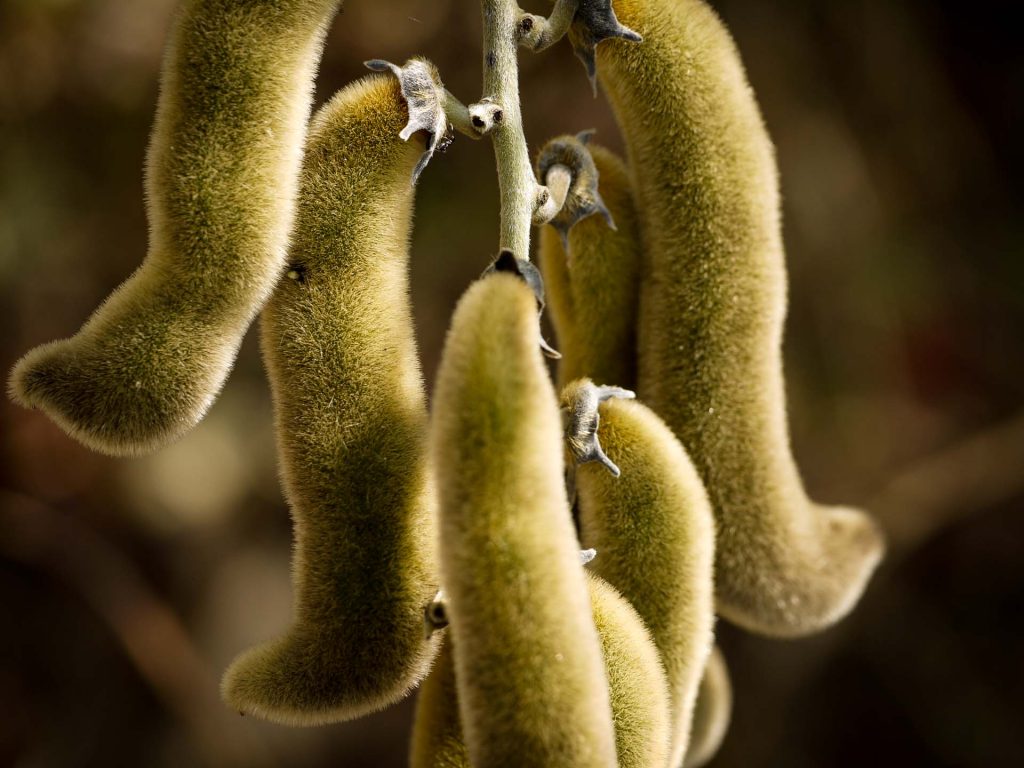 Testosterone Articles: Everything You Need to Know - Anabolic Health