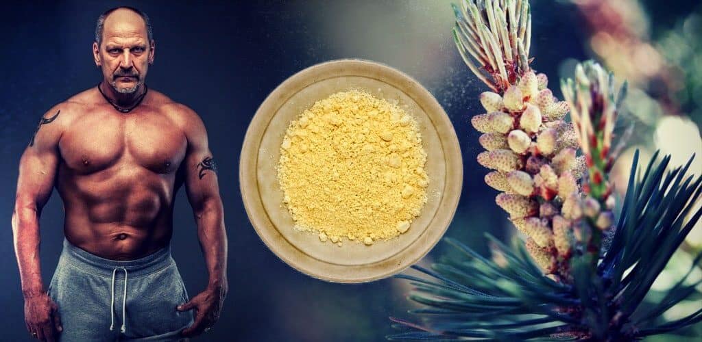 Testosterone Articles: Everything You Need to Know - Anabolic Health