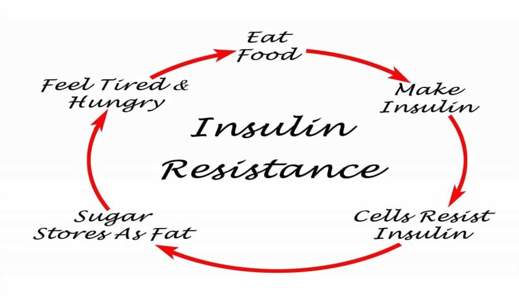 Insulin Articles: Everything You Need to Know - Anabolic Health