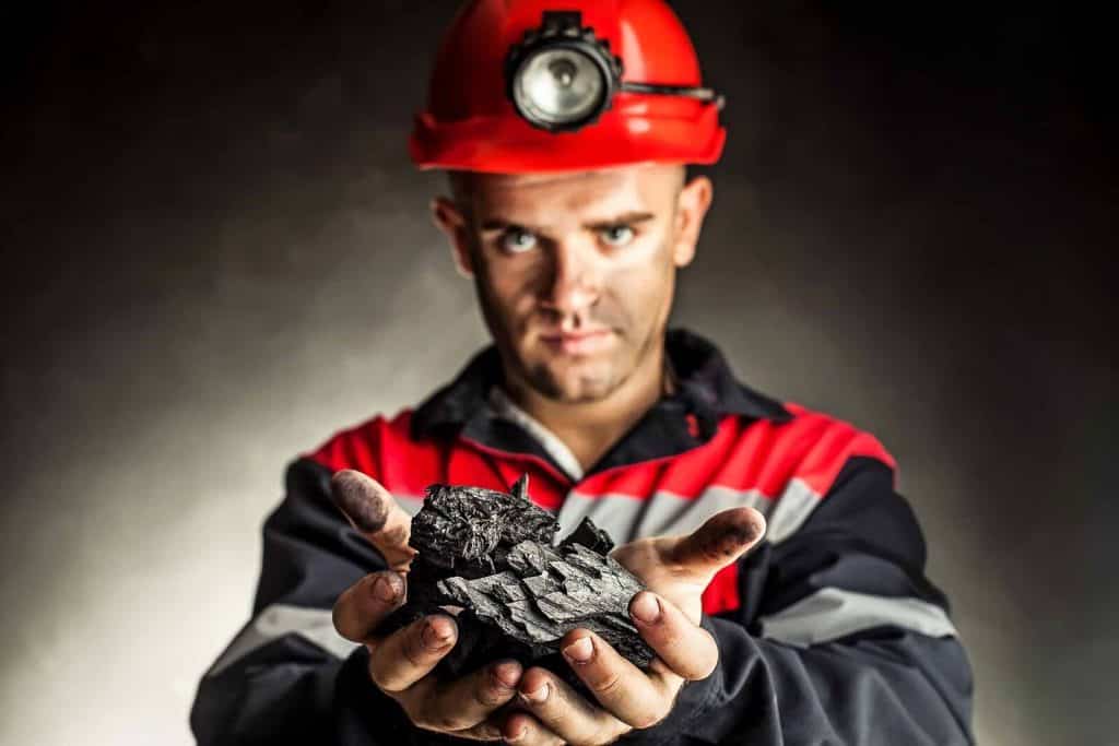 Foods Articles: Everything You Need to Know - Anabolic Health