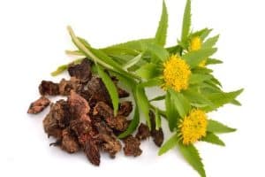 Top 14 Testosterone Boosting Herbs for Men (Backed by Science)